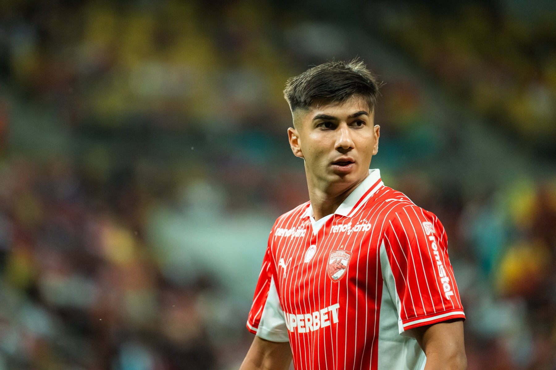 Veste teribilă pentru Dinamo! Alex Musi, accidentare horror la ...